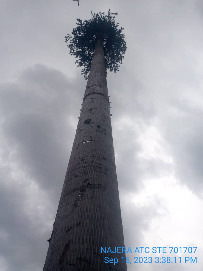 mast installation - Hardrock Engineering Uganda
